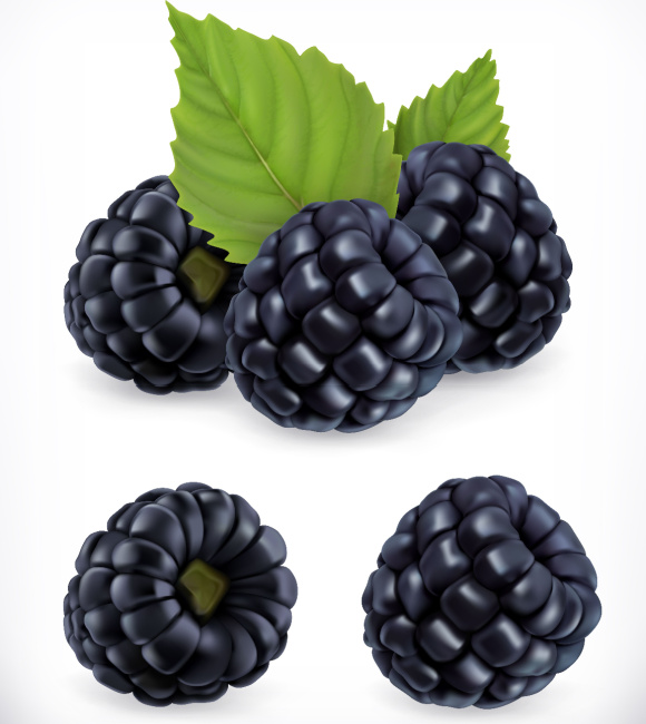 Buy CBD at Tom Hemp's CBD Shop | Your brand born in Berlin