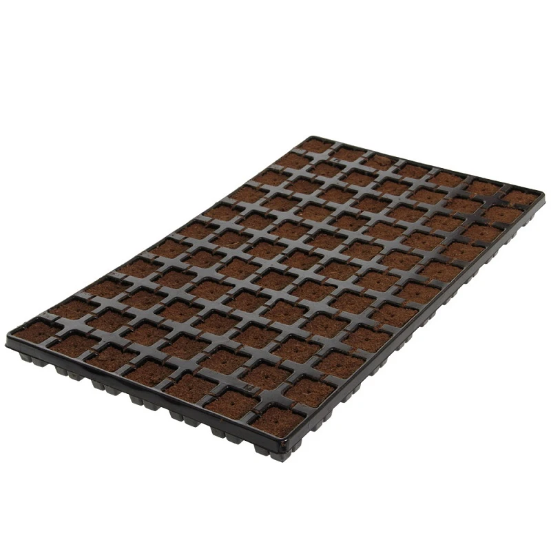 Plug`n Grow Seedlings Tray 77 x Eazy Plug
